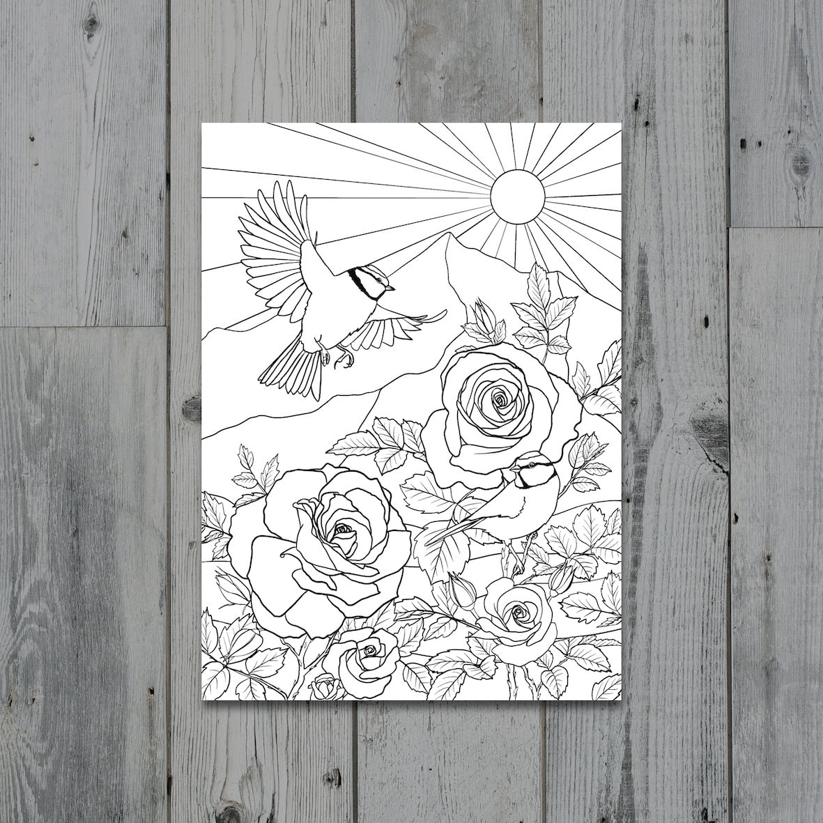 Birds Printable Colouring Sheet - Digital Download Colouring Pages ...