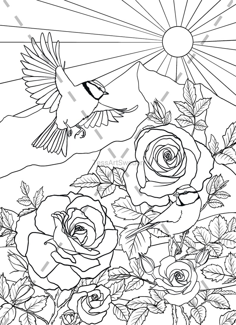 Birds Printable Colouring Sheet - Digital Download Colouring Pages ...