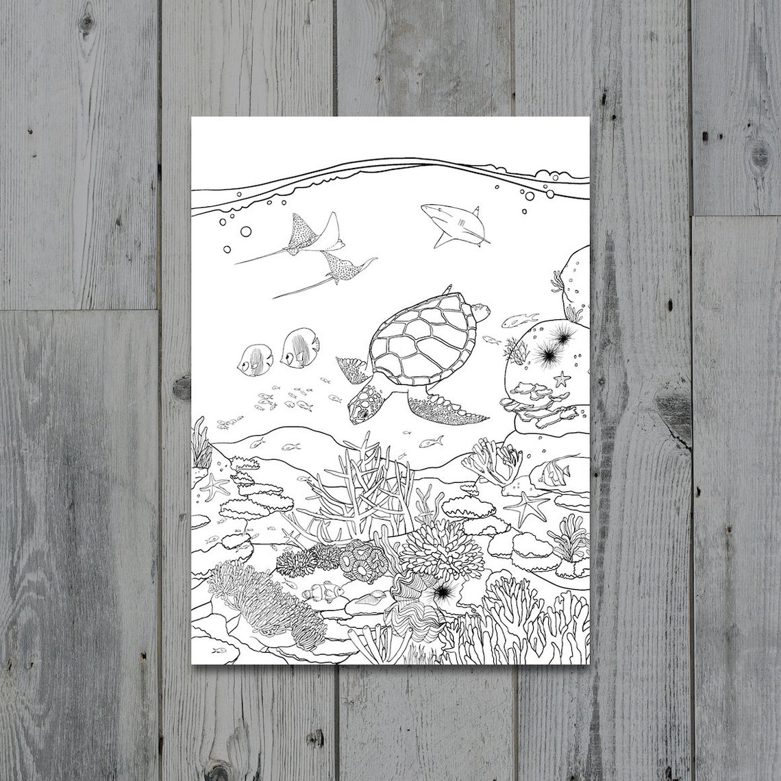 Coral Reef Printable Colouring Sheet - Digital Download Colouring Pages ...