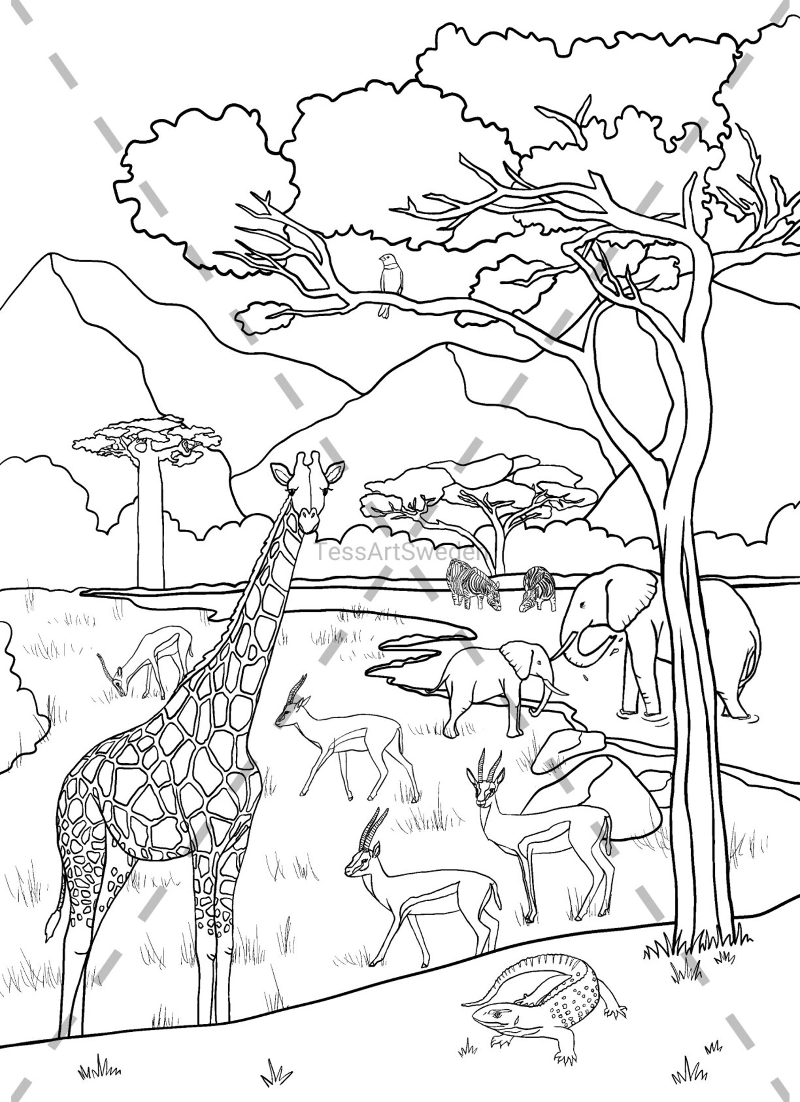 Savannah Printable Colouring Sheet - Digital Download Colouring Pages ...