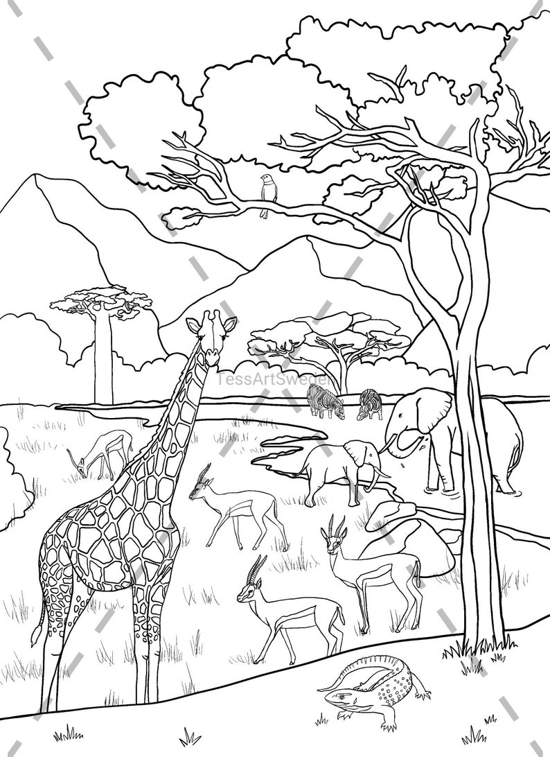 Savannah Printable Colouring Sheet Digital Download Colouring Pages All ...