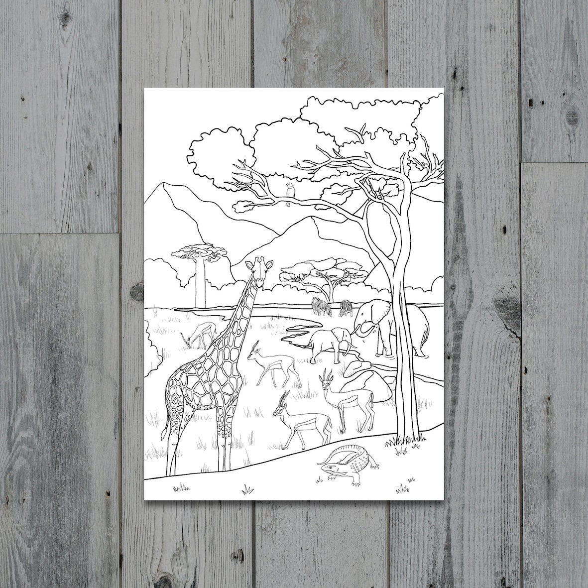 Savannah Printable Colouring Sheet - Digital Download Colouring Pages ...