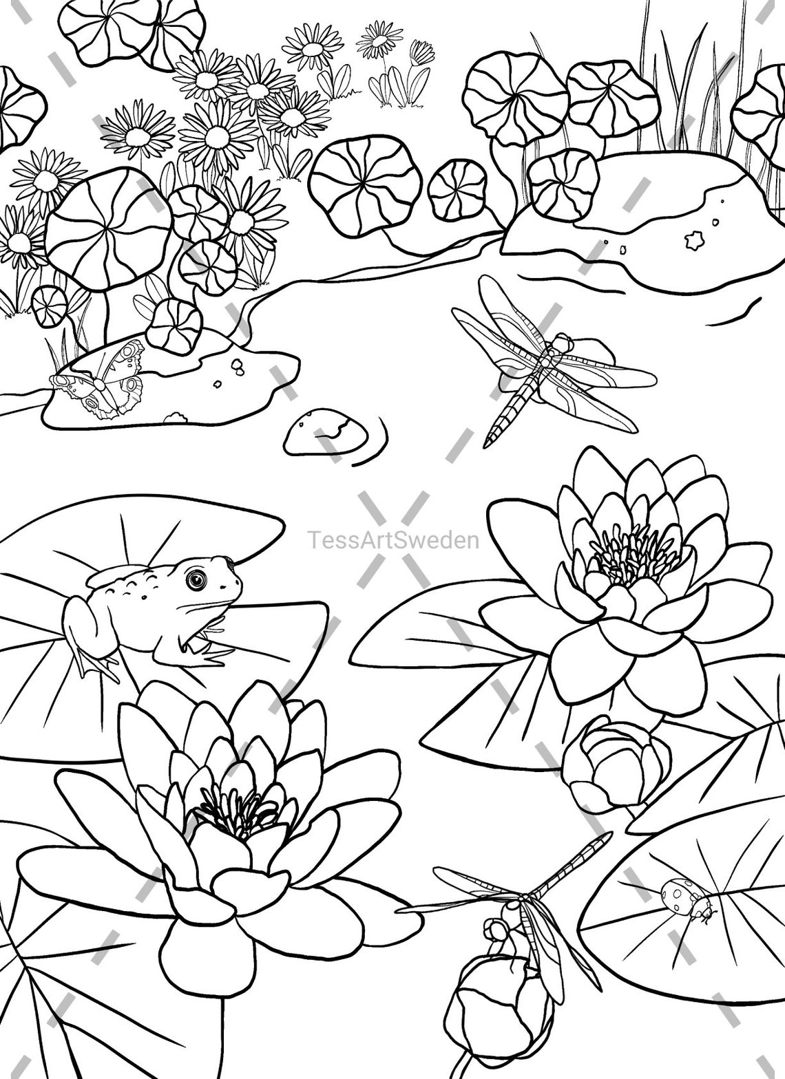 Pond Printable Colouring Sheet - Digital Download Colouring Pages - All ...