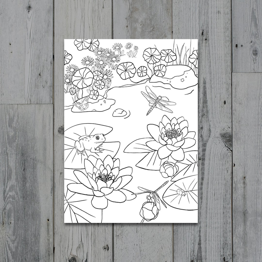 Pond Printable Colouring Sheet - Digital Download Colouring Pages - All ...