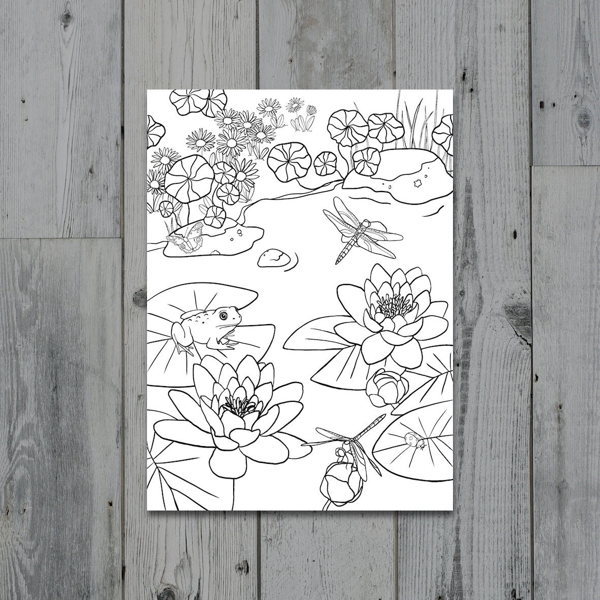 Pond Printable Colouring Sheet - Digital Download Colouring Pages - All ...