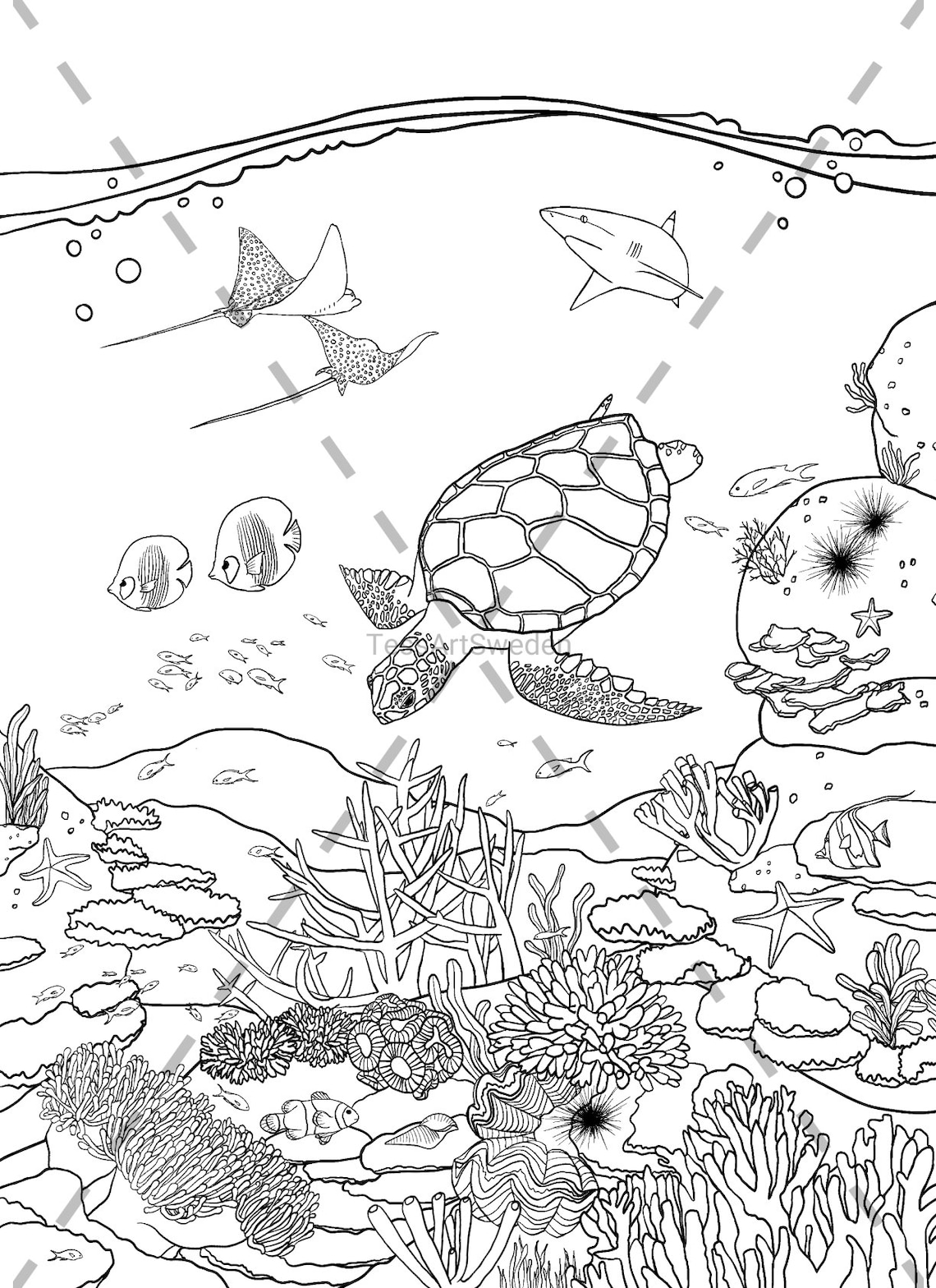 Coral Reef Printable Colouring Sheet - Digital Download Colouring Pages ...