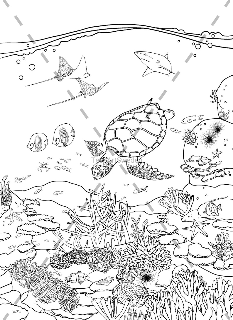 Coral Reef Printable Colouring Sheet - Digital Download Colouring Pages ...