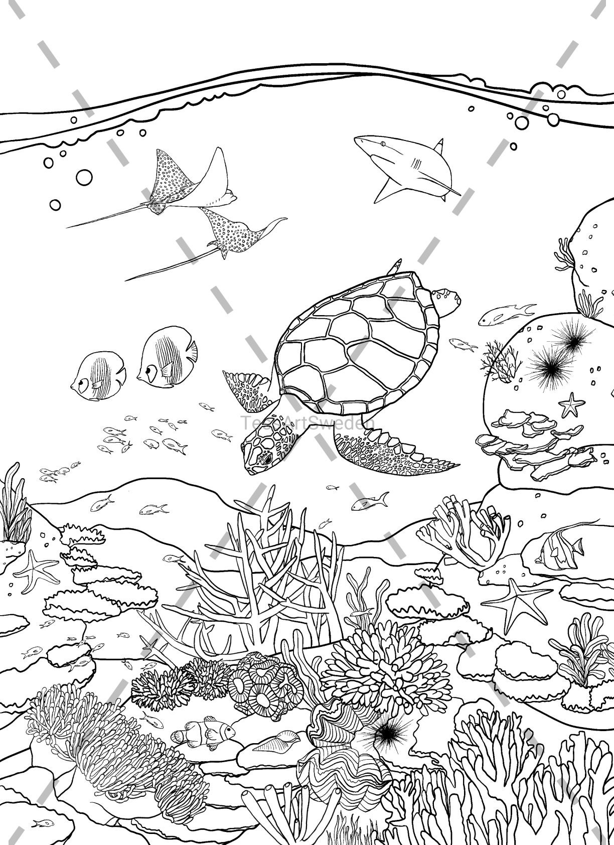Coral Reef Printable Colouring Sheet - Digital Download Colouring Pages ...