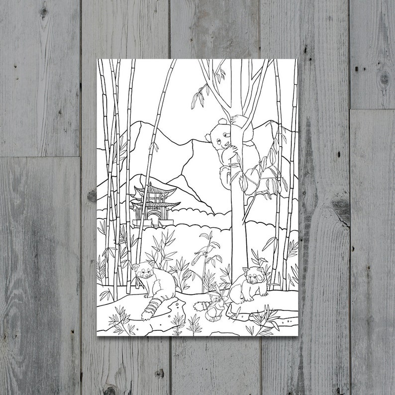 Bamboo Forest Printable Colouring Sheet - Digital Download Colouring ...