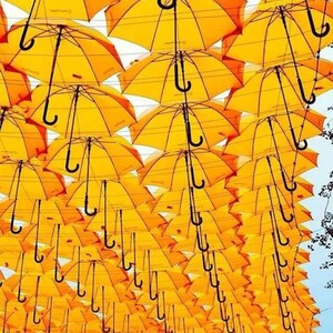 Rainbow Photo Collage Kit DIGITAL - Etsy