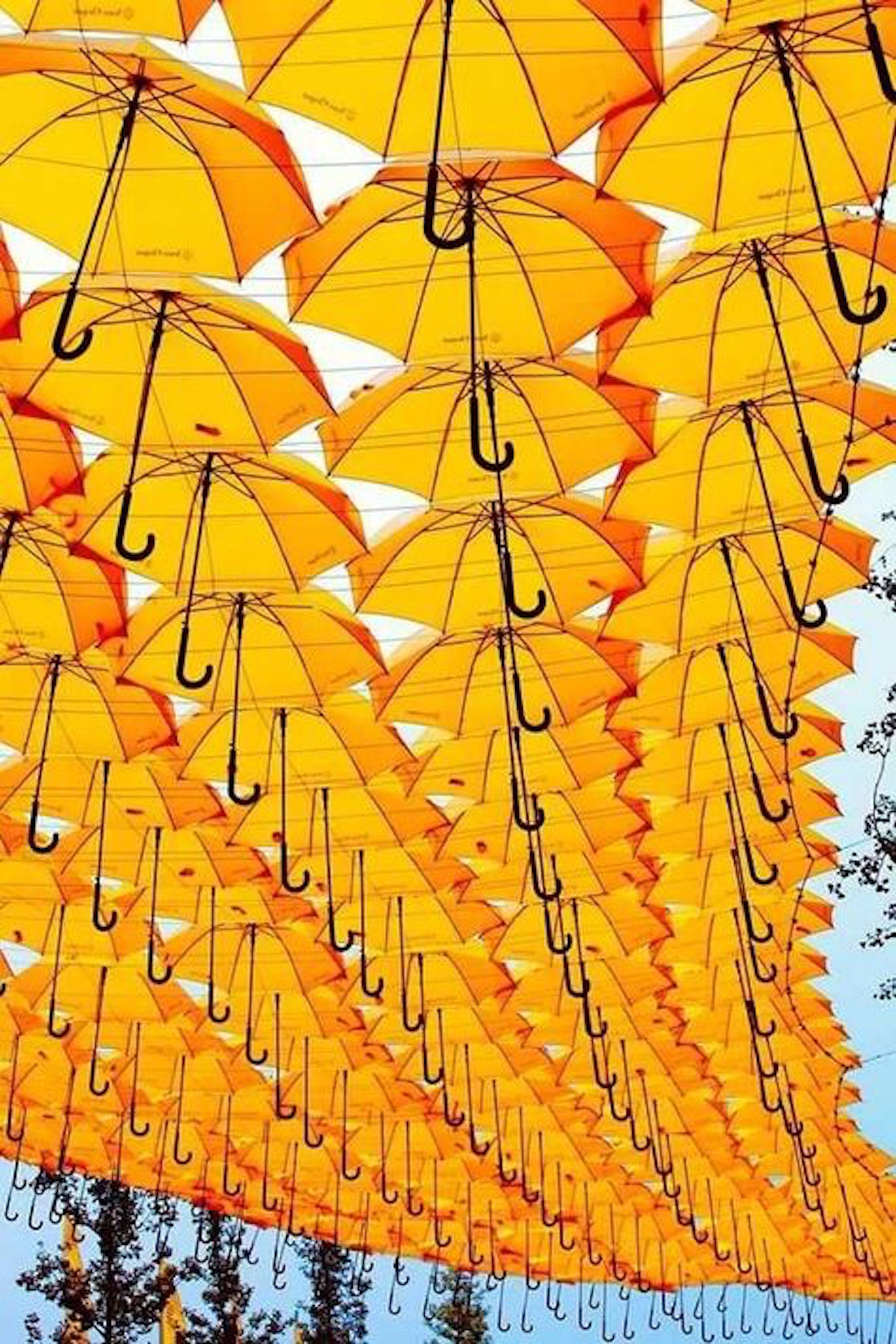 Rainbow Photo Collage Kit DIGITAL - Etsy