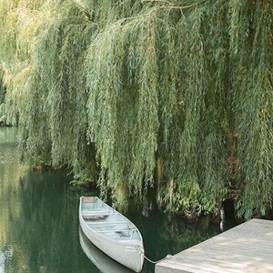 Rainbow Photo Collage Kit DIGITAL - Etsy