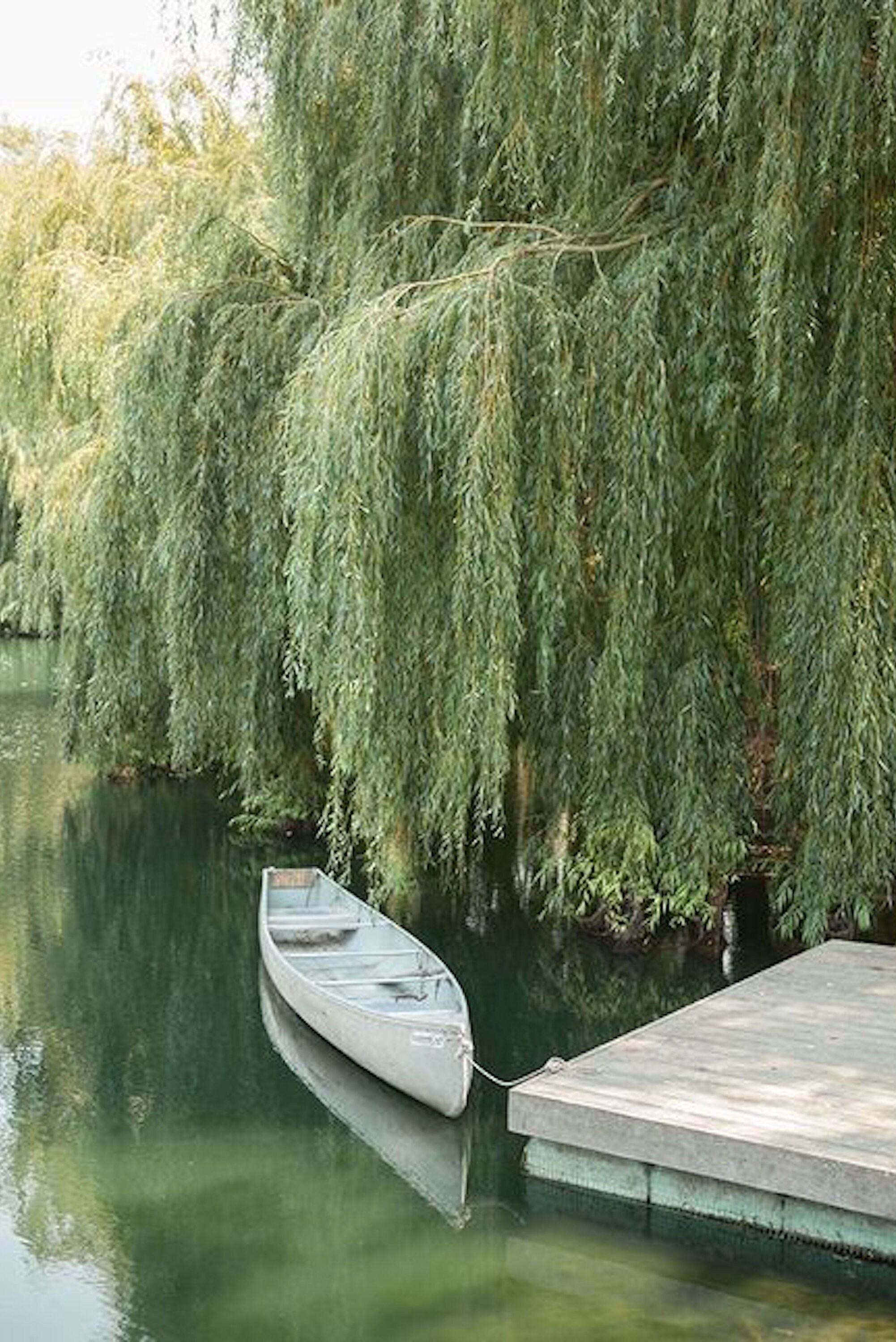 Rainbow Photo Collage Kit - Etsy