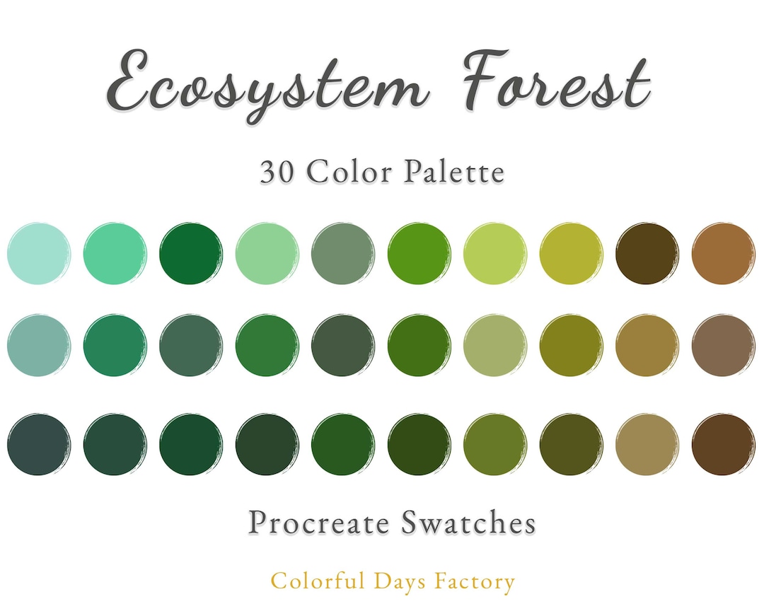 Ecosystem Forest Color Swatches | Procreate Color Palette | Instant ...