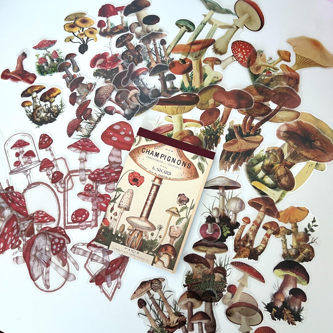 Vintage Mushroom Stickers Scrapbooking Craft Supplies Ephemera Junk ...