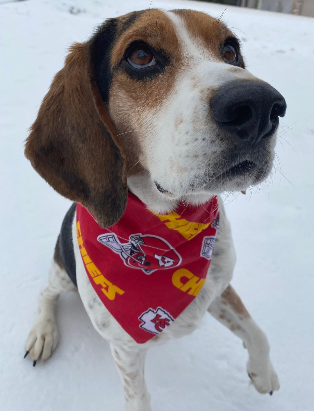 Chiefs dog bandana/Kansas City Chiefs dog scarf/football dog bandana ...