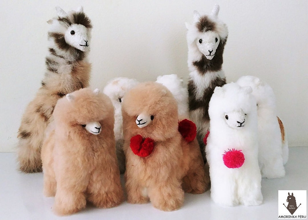 Peruvian Alpacas Pompom. Made With 100% Natural Alpaca - Etsy