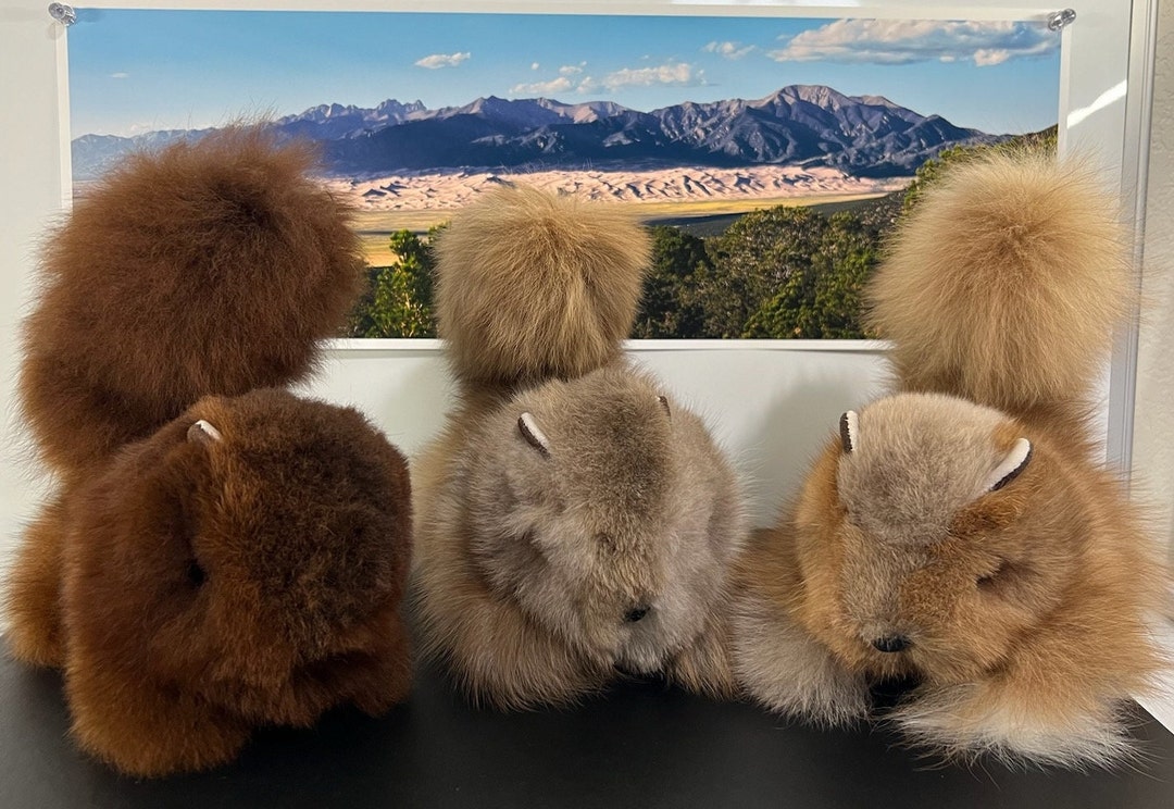 Peruvian Squirrels Made With 100% Alpaca Fur in Peru - Etsy