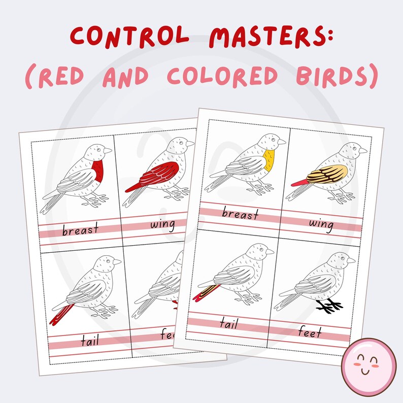 Learning Parts of a Bird Mini Booklet; Cut, Color, Write / Trace, Comes ...