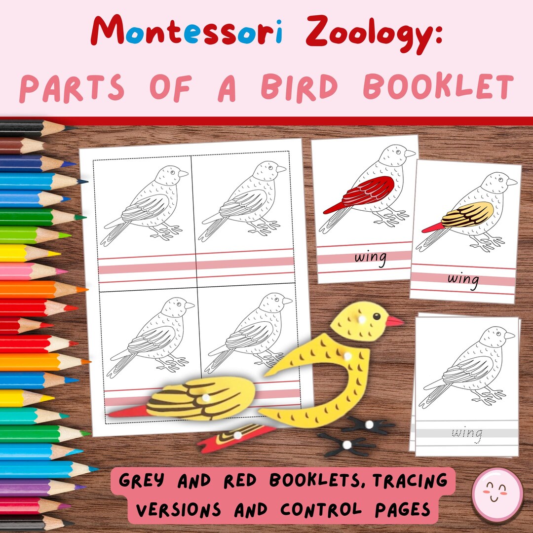 Learning Parts of a Bird Mini Booklet; Cut, Color, Write / Trace, Comes ...