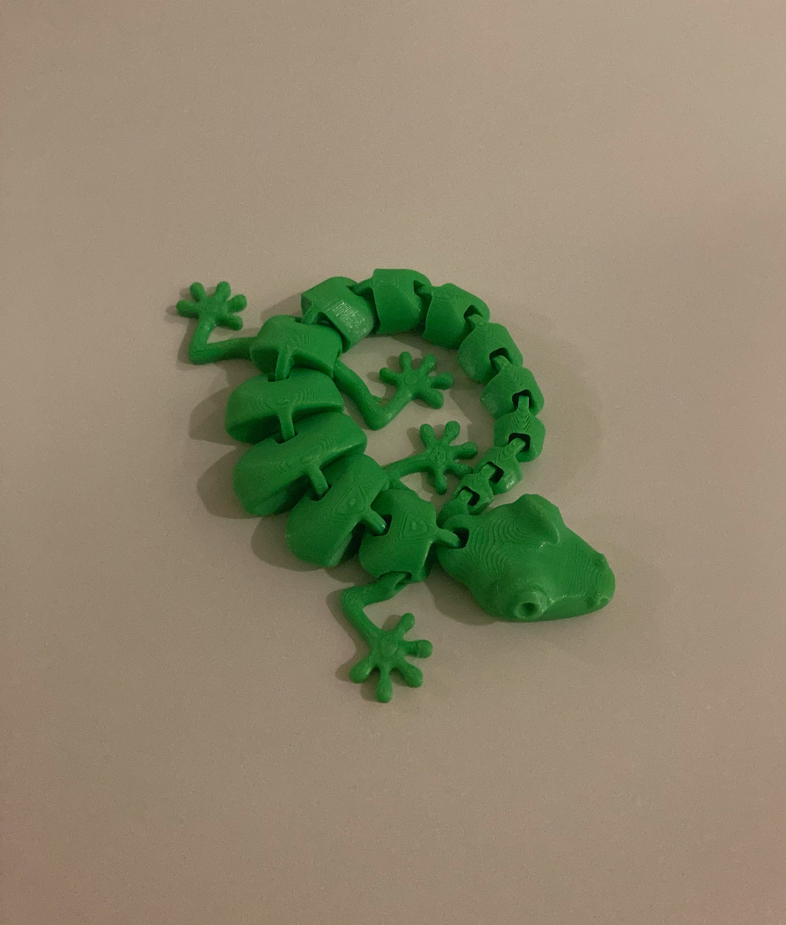 Articulated Lizard 3D Printed Lizard With Moving Body And | Etsy