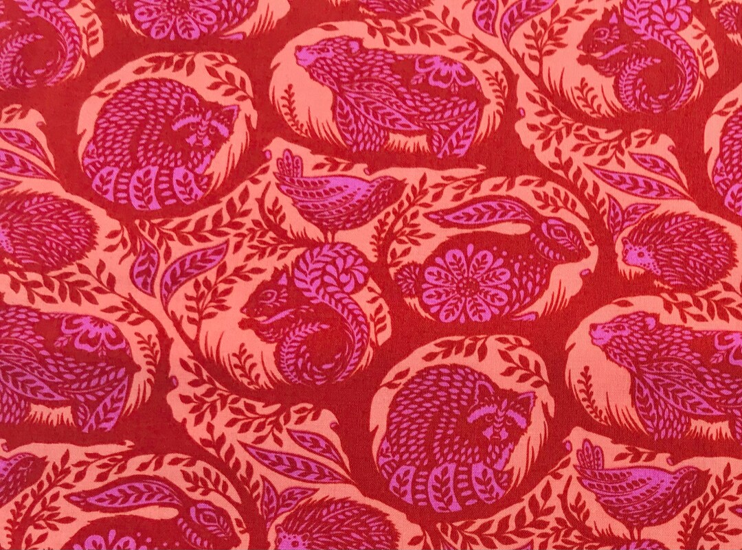 1/2 Yard of OOP Tula Pink Grandstand in Orange Crush - Etsy
