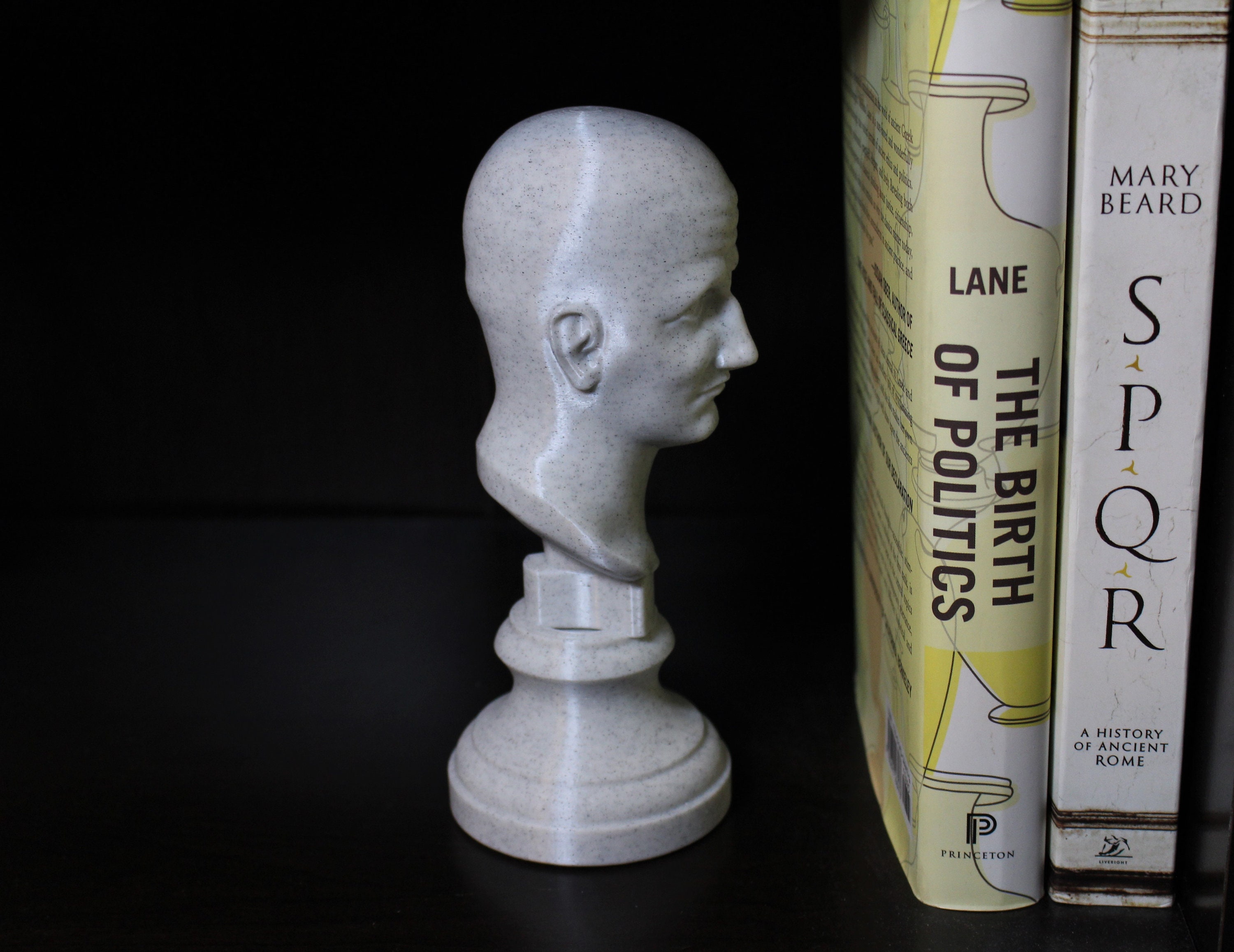 Scipio Africanus Bust Statue of the Roman General Statesman - Etsy UK