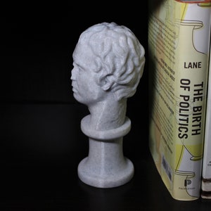 Sulla Bust; Statue of the Roman Dictator; Toppled the Republic Before ...