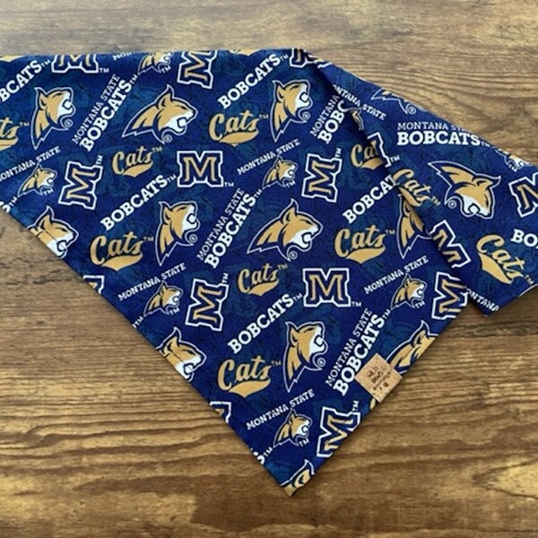 Florida State University - Etsy