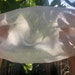 Cheesecloth Face Mask Gauze Muslin 100% Cotton . Made in - Etsy Canada