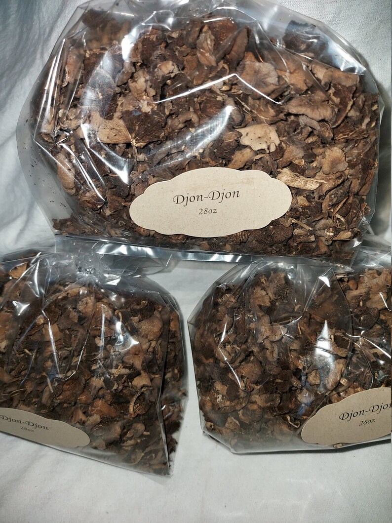 Djon-djon/black mushroom | Etsy