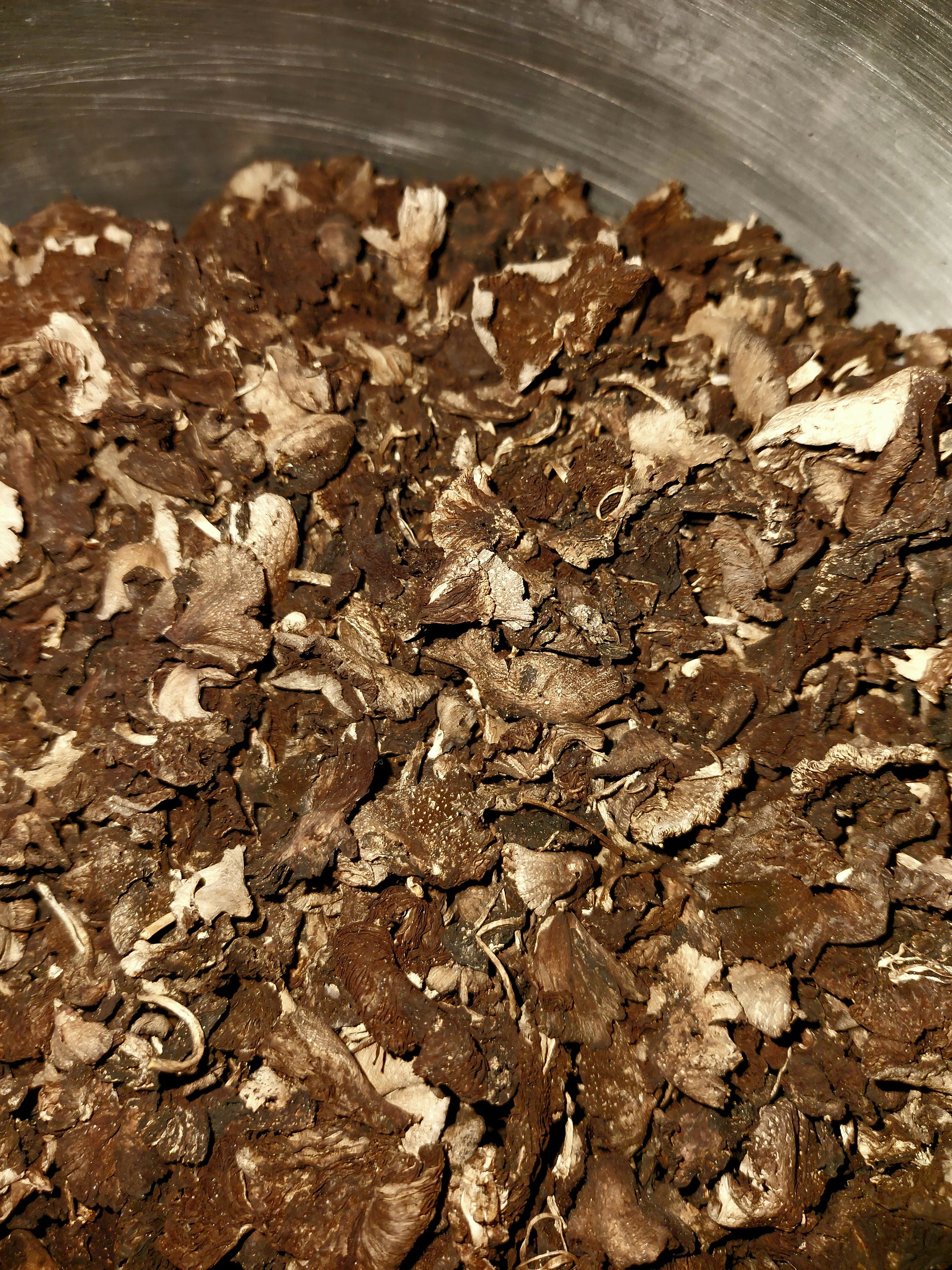 Djon-djon/black mushroom | Etsy