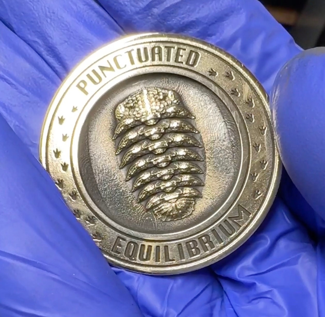 3D Trilobite Coin Design for Fiber Laser Engraving - Etsy