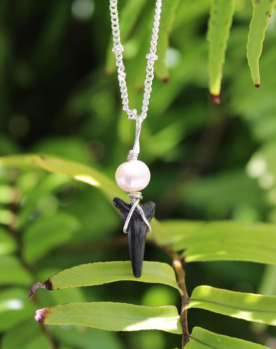 Satellite Chain 16 pulgadas Dainty Shark Tooth Collar con perla - Etsy ...