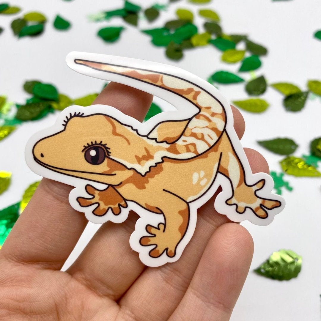Crested Gecko Vinyl Sticker - Etsy