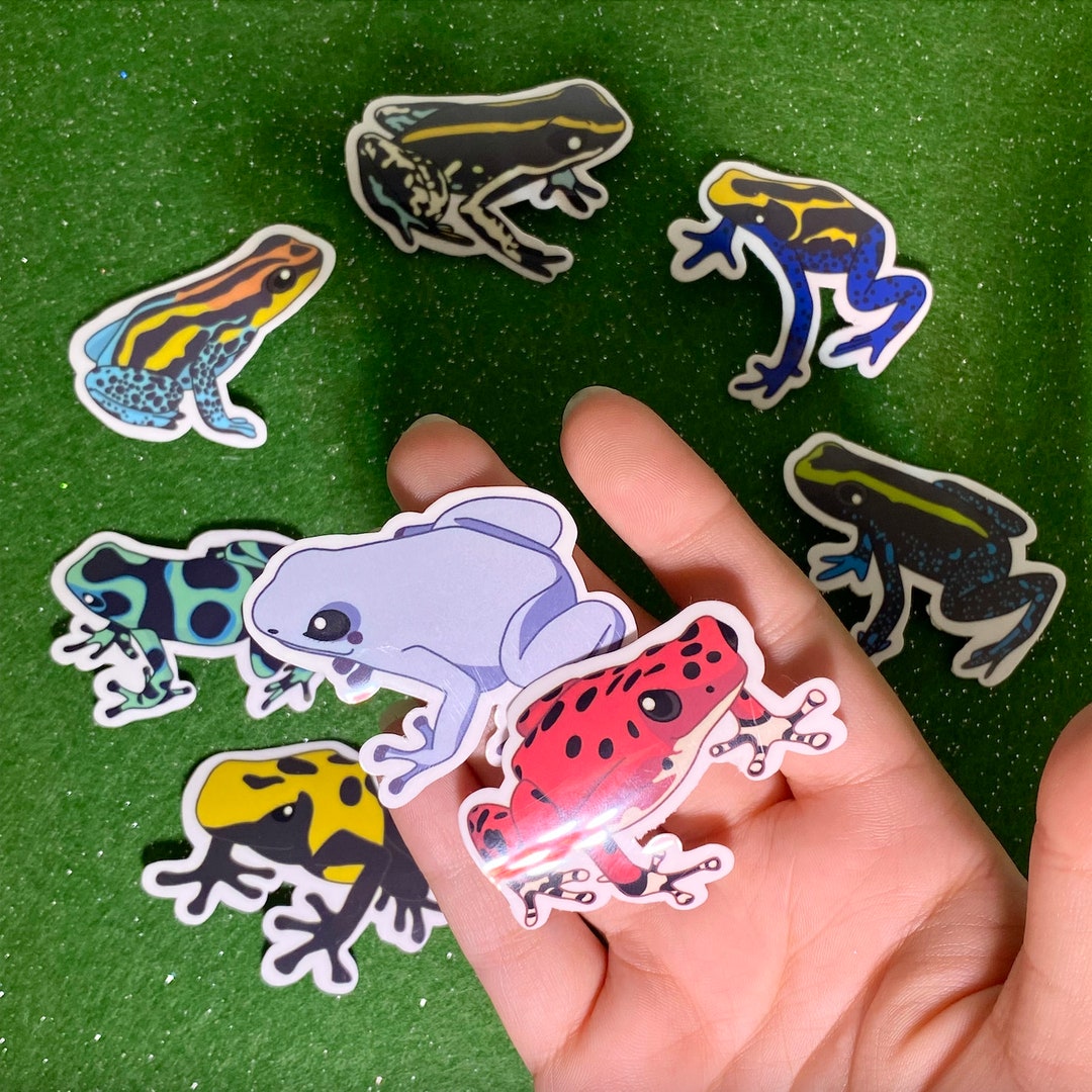 Poison Dart Frog Vinyl Sticker Pack (includes 8 Stickers) - Etsy