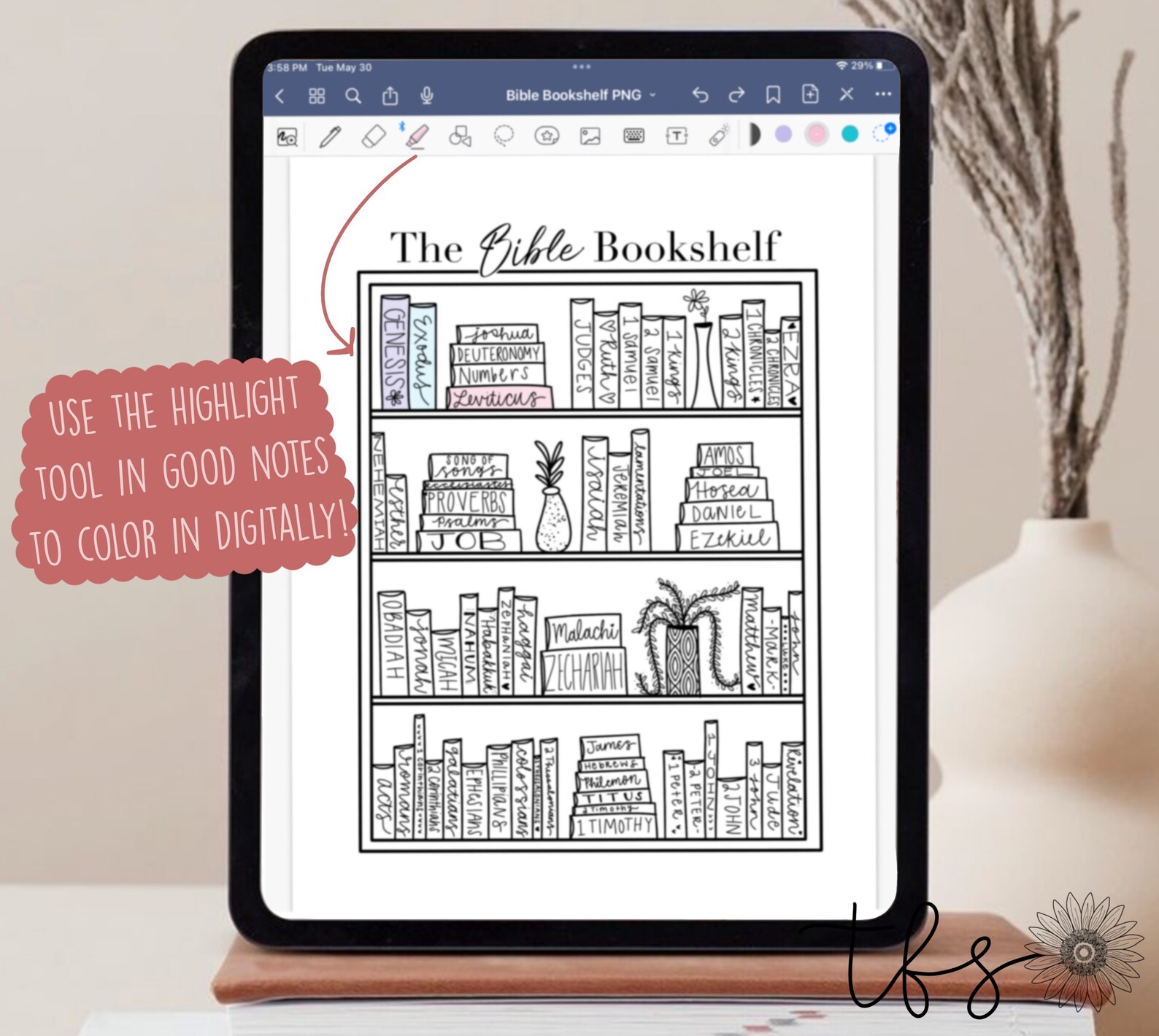 The Bible Bookshelf Printable and Digital, Plain and Partially Colored ...