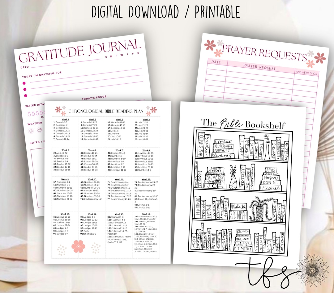 The Bible Bundle, One Year Chronological Reading Plan, Bible Bookshelf ...