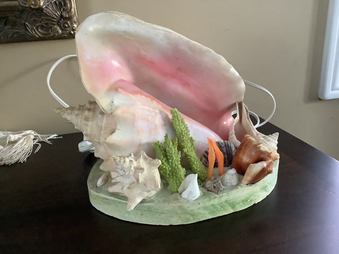 Shell Lamp Vintage Sea Shell Lamp Souvenir Lamp - Etsy