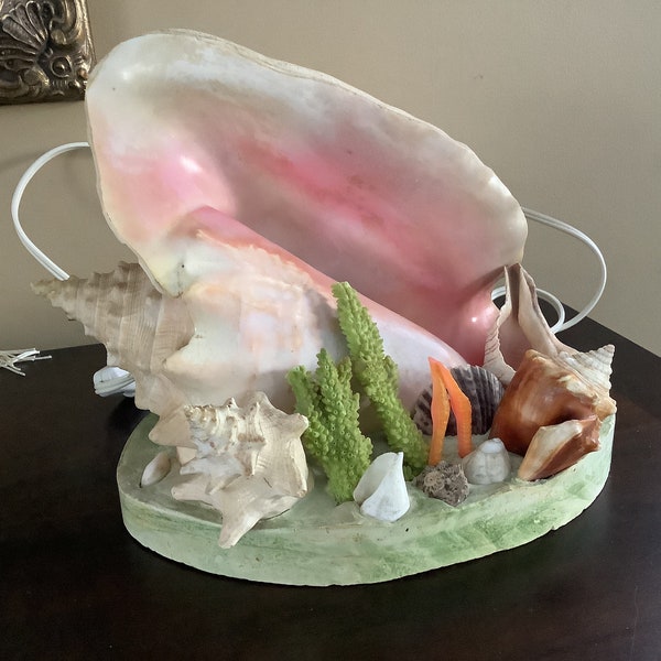 Shell Lamp - Etsy