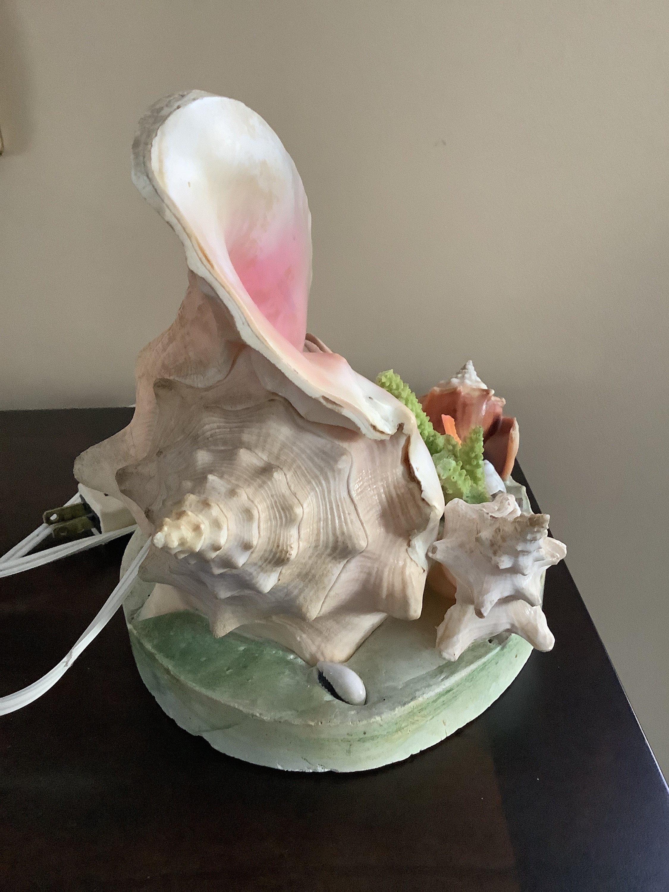 Vintage Conch Shell TV Lamp: 1970s Souvenir Lamp - Etsy
