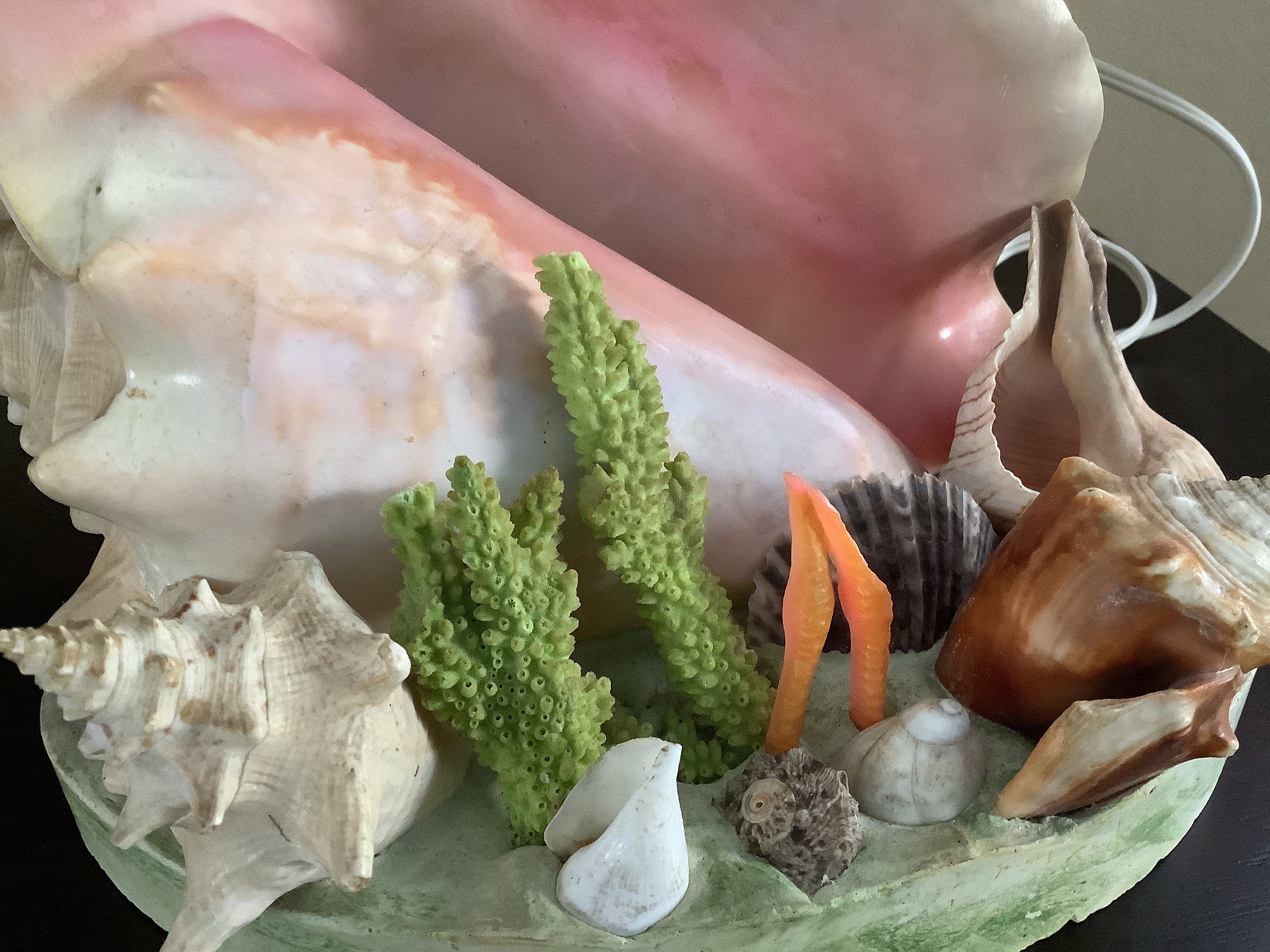 Vintage Conch Shell TV Lamp: 1970s Souvenir Lamp - Etsy