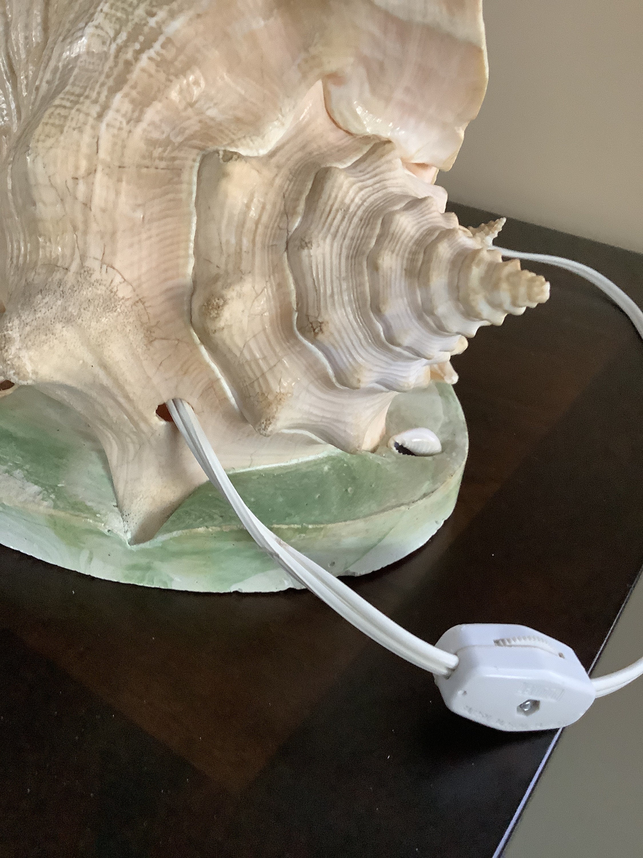 Vintage Conch Shell TV Lamp: 1970s Souvenir Lamp - Etsy