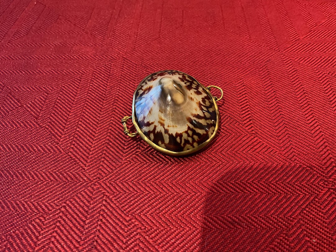 Vintage Shell Presentation Box Leopard Clam Shell Ring Jewelry Holder ...