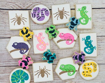 Insect Cookies | Etsy