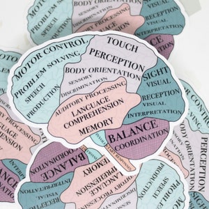 Brain Function Sticker, Functions of the Brain, Brain Sticker ...