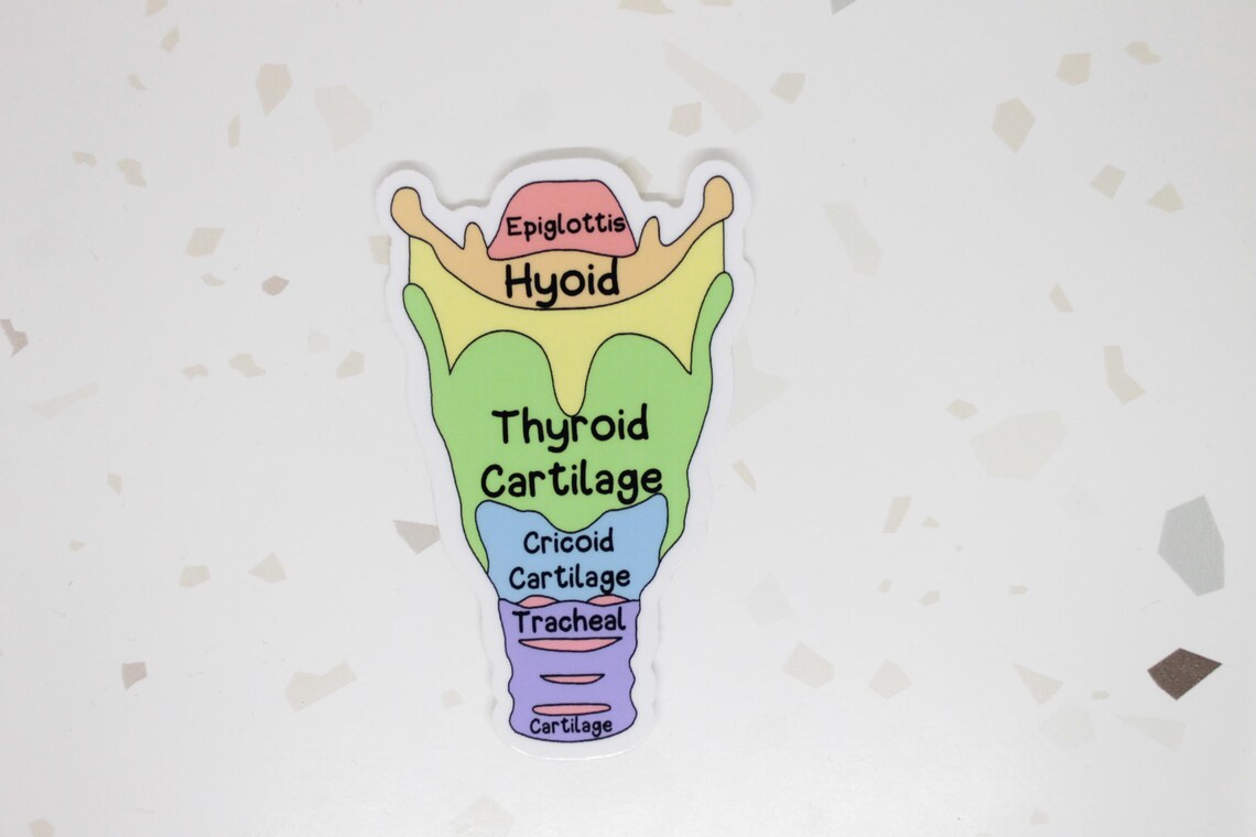 Larynx Anatomy Sticker, SLP Sticker, Speech-language Pathologist ...