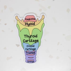 Larynx Anatomy Sticker, SLP Sticker, Speech-language Pathologist ...