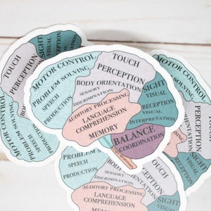 Brain Function Sticker Functions of the Brain Brain Sticker - Etsy