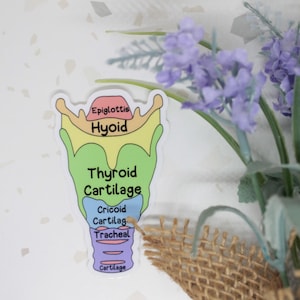 Larynx Anatomy Sticker, SLP Sticker, Speech-language Pathologist ...
